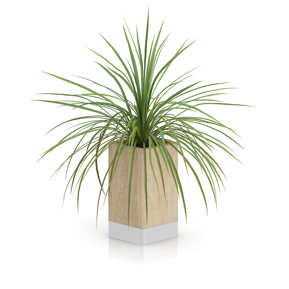 Small Plant in Wooden Pot 3D model - Download Houseplants on 3DModels.org