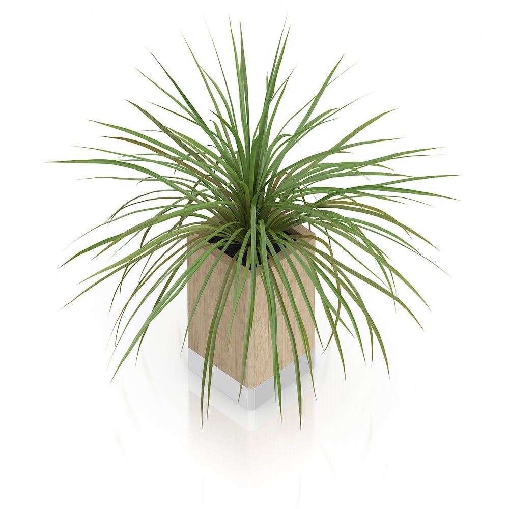 Small Plant in Wooden Pot 3D model - Download Houseplants on 3DModels.org