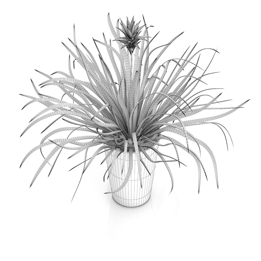 Guzmania Plant 3D model - Download Flowers on 3DModels.org