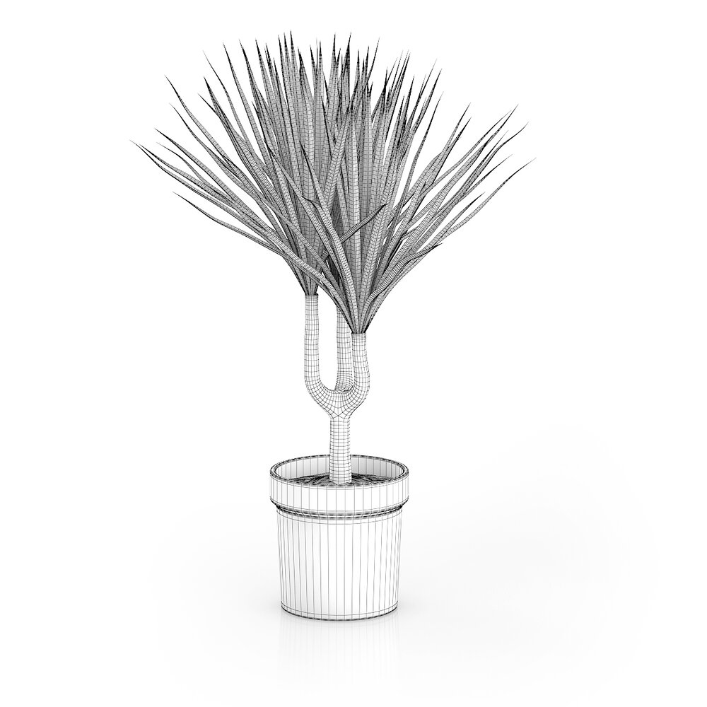Palm Tree with Dual Stems in White Pot 3D model - Download Trees on ...