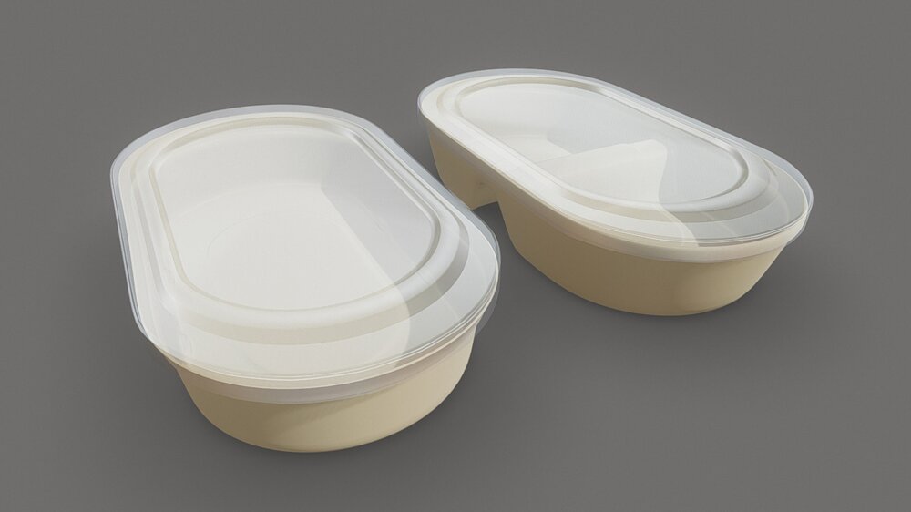 Biodegradable Disposable Lunch Box 3D model - Download Mockup on ...