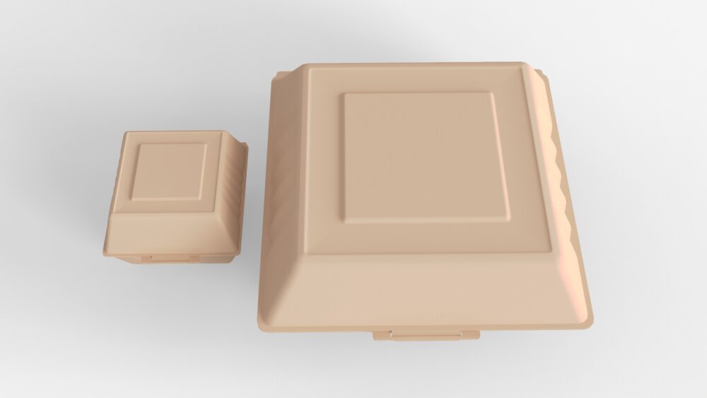 Biodegradable Food Containers 3D model - Download Mockup on 3DModels.org