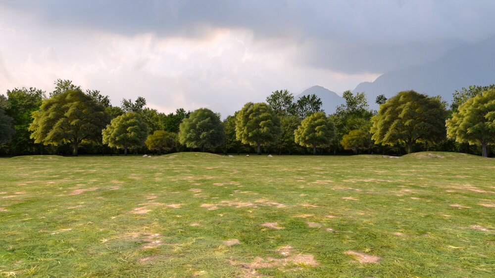 Trees Background 3D model - Download Landscapes on 3DModels.org