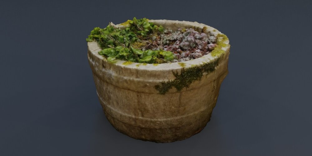 Moss 3D Models Download - 3DModels.org