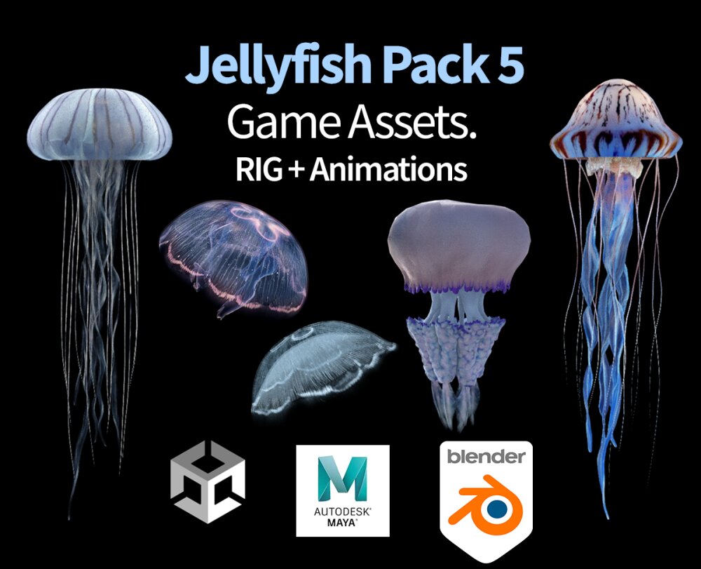 Jellyfish Pack 5 3D model - Download Fish on 3DModels.org