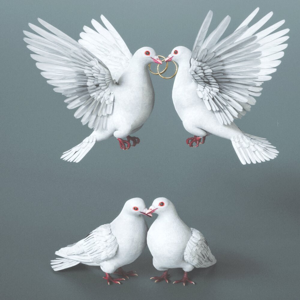 Wedding Dove 3D model - Download Birds on 3DModels.org