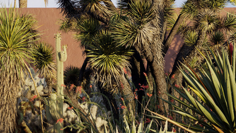Tropical Desert Plant Collection 3D model - Download Bushes on 3DModels.org