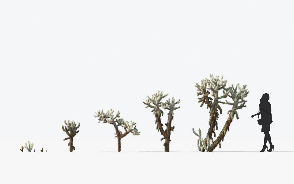 Tropical Desert Plant Collection 3D model - Download Bushes on 3DModels.org
