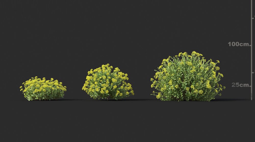 Garden Shrub Flowers Collection 3D model - Download Bushes on 3DModels.org
