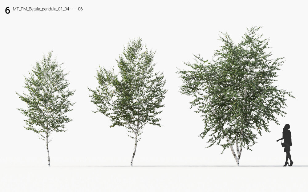 Small Tree Collection 3D model - Download Trees on 3DModels.org