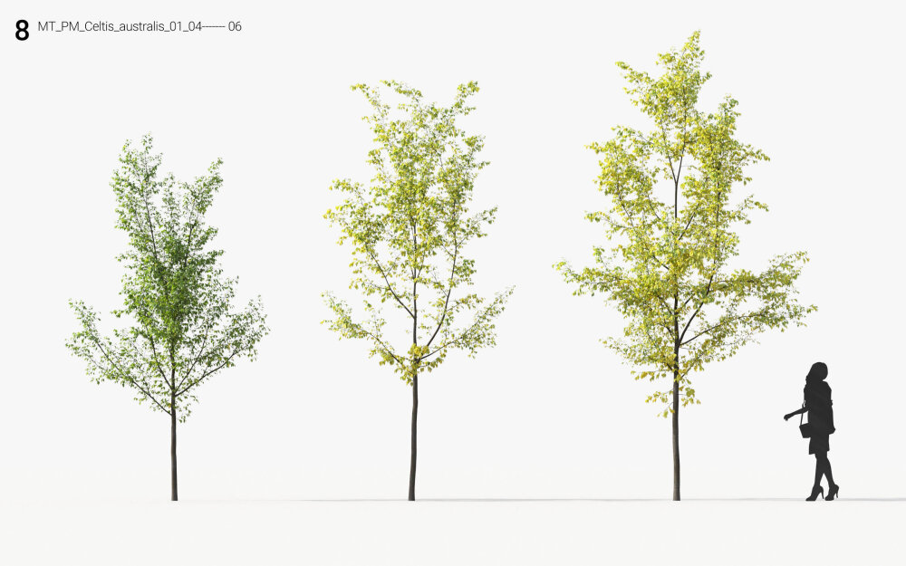 Small Tree Collection 3D model - Download Trees on 3DModels.org