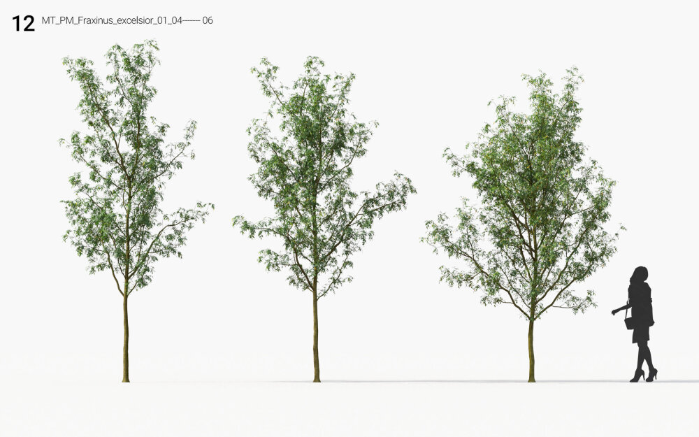 Small Tree Collection 3D model - Download Trees on 3DModels.org