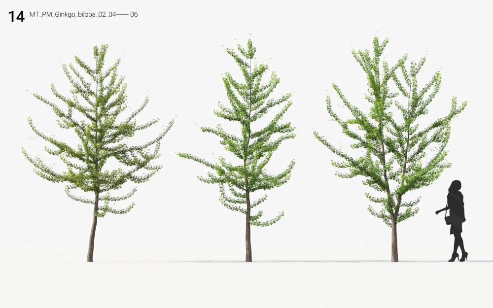 Small Tree Collection 3D model - Download Trees on 3DModels.org