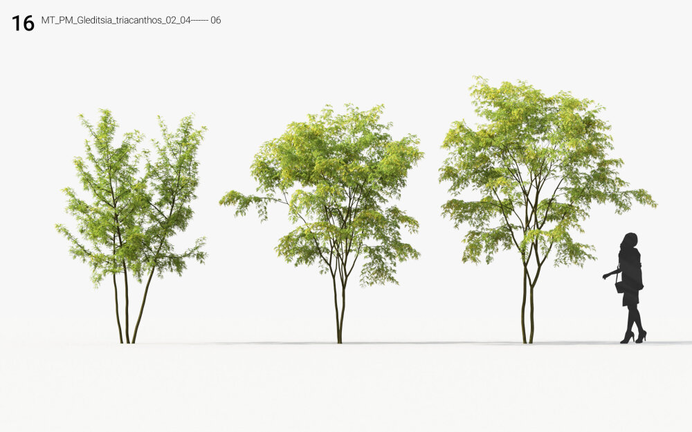 Small Tree Collection 3D model - Download Trees on 3DModels.org