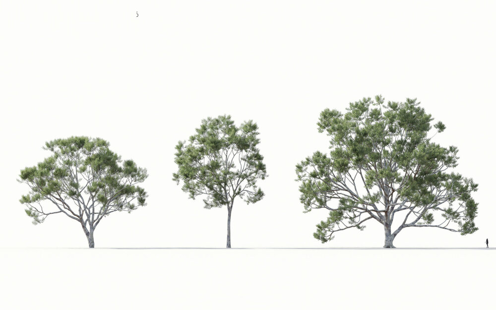 Green Trees Collection 3D model - Download Trees on 3DModels.org