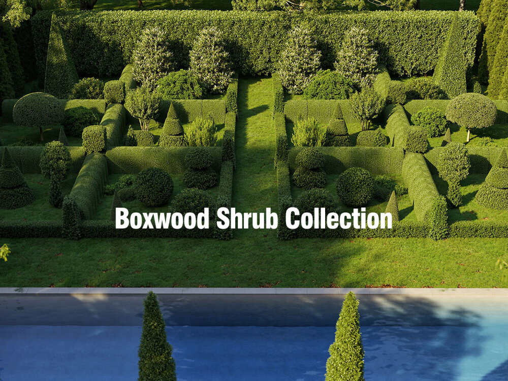 Boxwood Shrub Collection 3D model - Download Landscapes on 3DModels.org