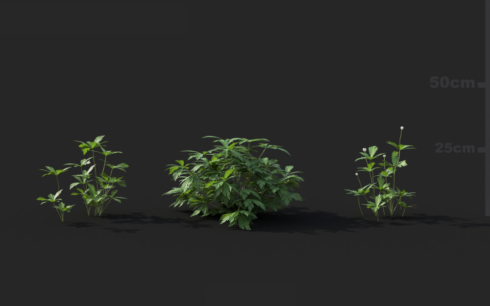 Ground Cover Plants Collection 3D model - Download Landscapes on ...