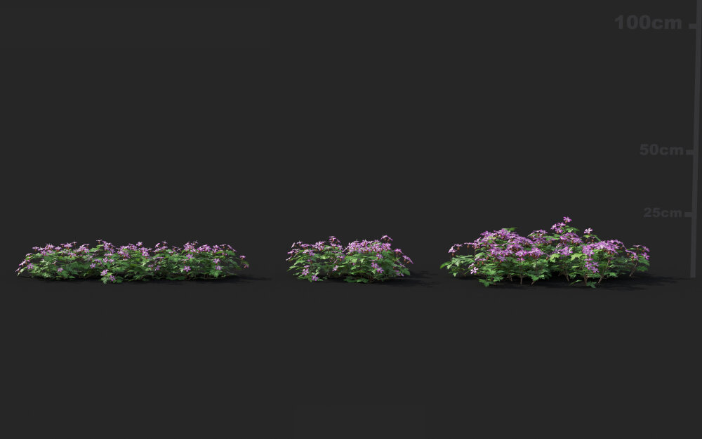 Ground Cover Plants Collection 3D model - Download Landscapes on ...