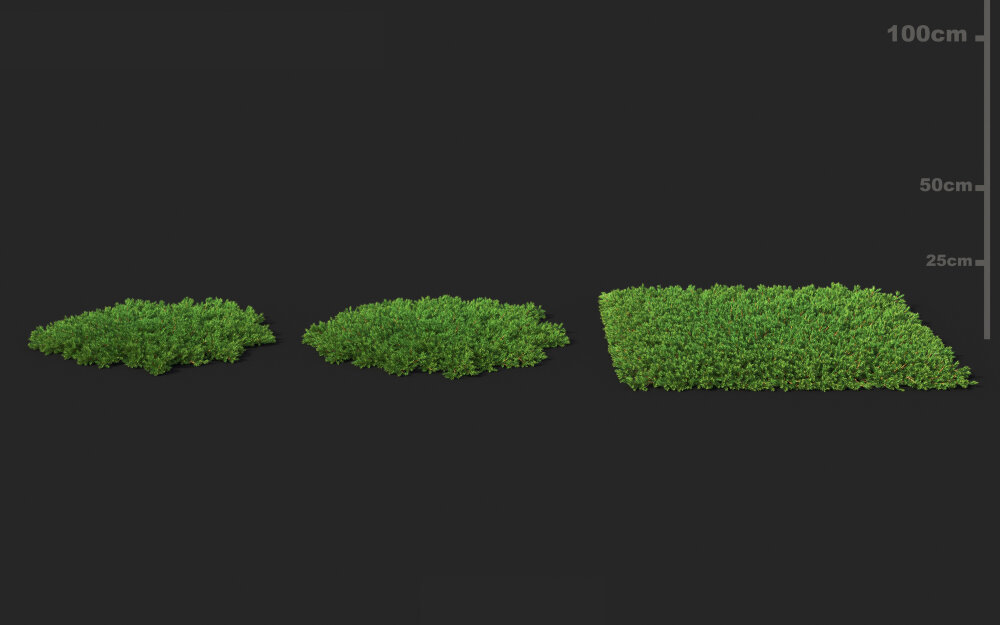 Outdoor Shrub Collection 3D model - Download Bushes on 3DModels.org
