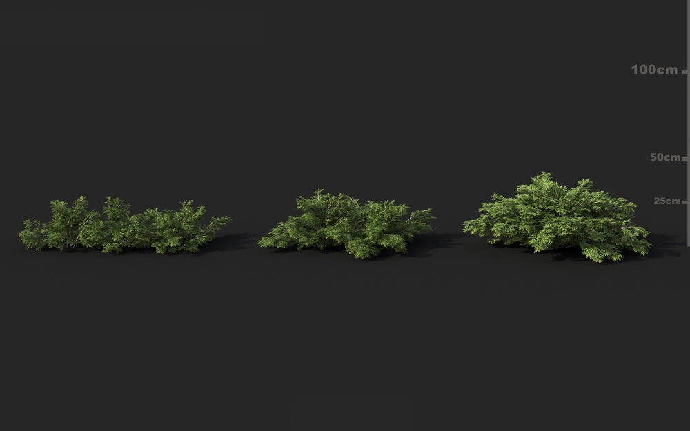 Outdoor Shrub Collection 3D model - Download Bushes on 3DModels.org