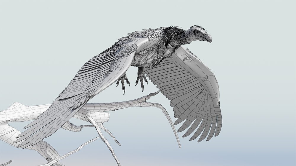 Griffon Vulture – Rigged Animated 3D model - Download Birds on 3DModels.org