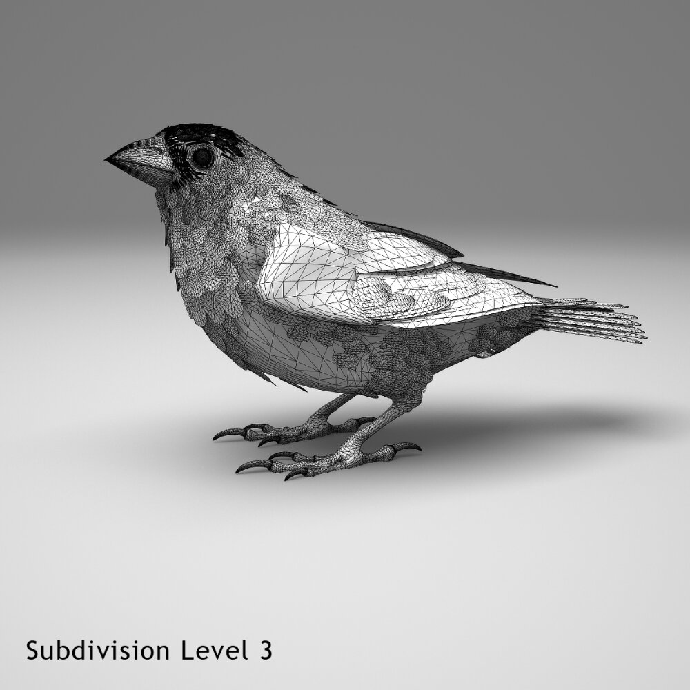 House Finch – Rigged Animated 3D model - Download Birds on 3DModels.org