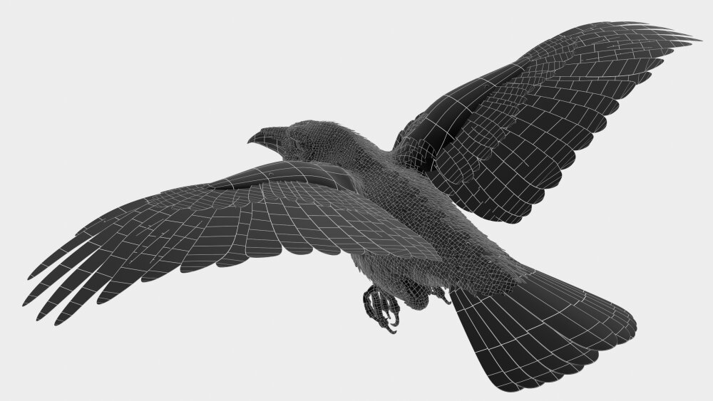 Common Raven Blender – Rigged Animated 3D model - Download Birds on ...