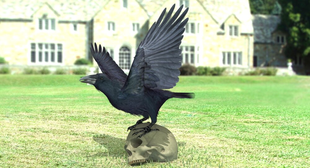 Common Raven – Lightwave – Max – Rigged Animated Modèle 3D ...