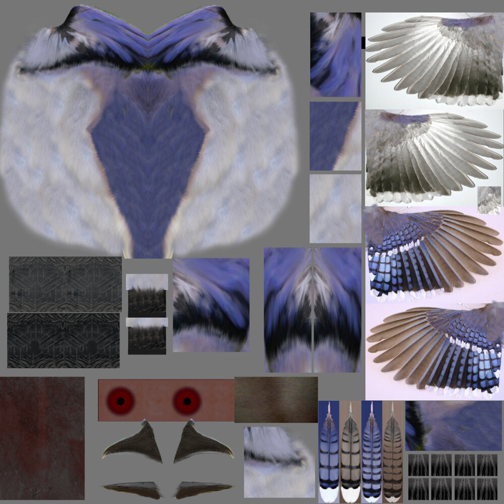 Blue Jay – Rigged Animated 3D model - Download Birds on 3DModels.org