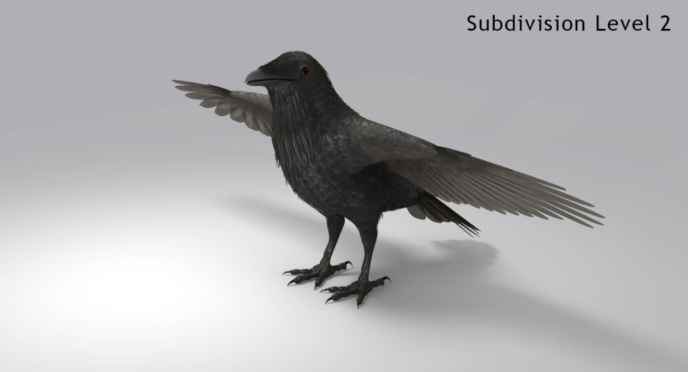 Crow – Corvus – Rigged Animated 3D model - Download Birds on 3DModels.org