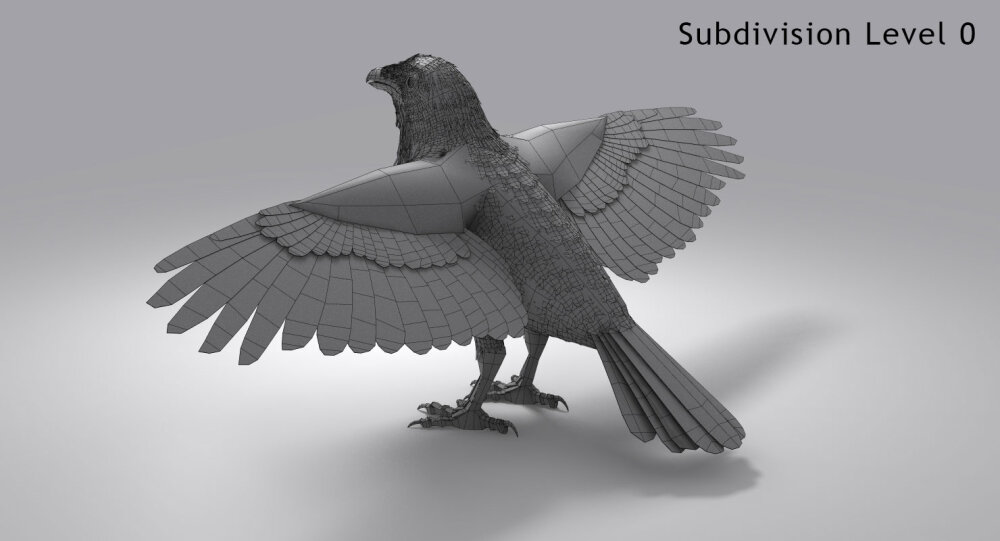 Crow – Corvus – Rigged Animated 3D model - Download Birds on 3DModels.org