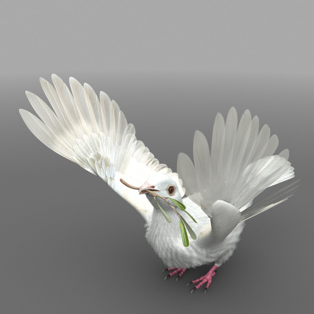 White Dove in Flight 3D model - Download Birds on 3DModels.org