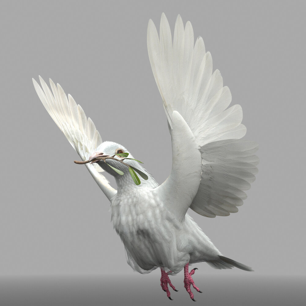 White Dove in Flight 3D model - Download Birds on 3DModels.org
