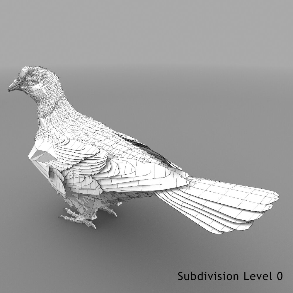 White Dove in Flight 3D model - Download Birds on 3DModels.org