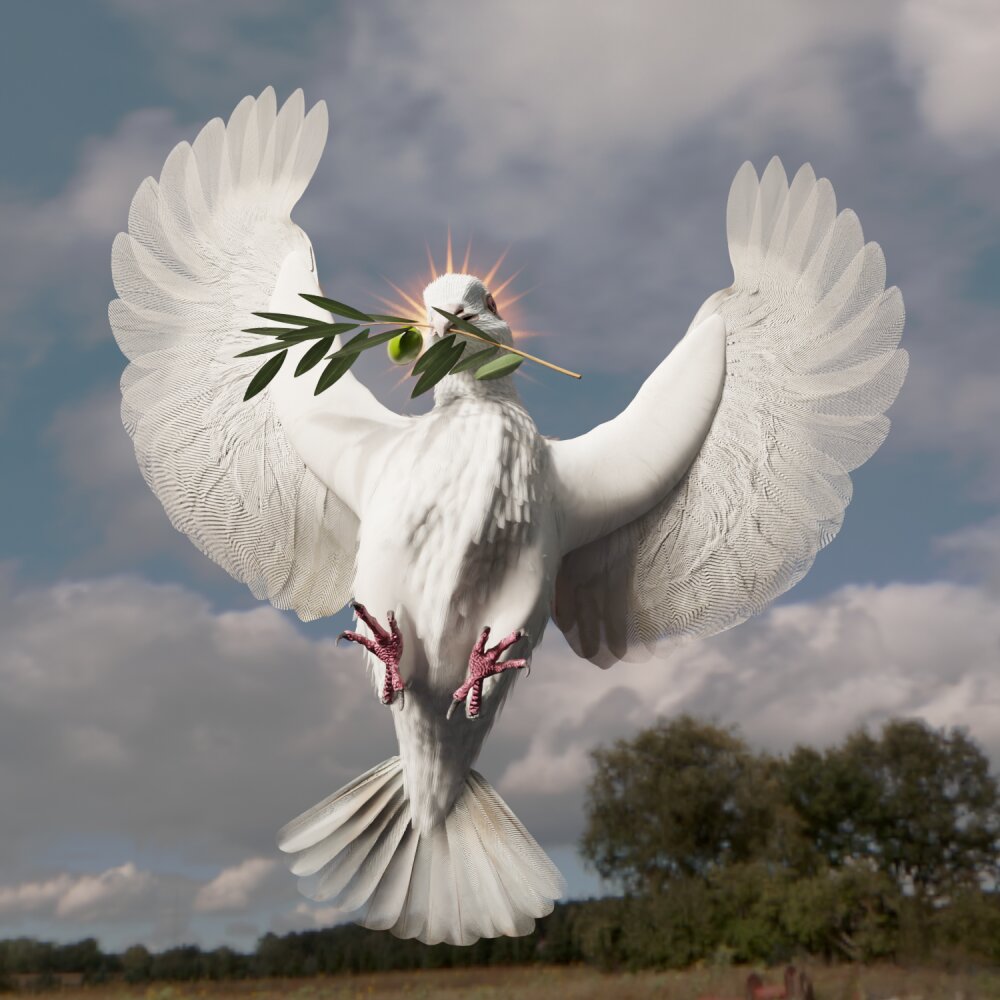 Dove – Blender 3D model - Download Birds on 3DModels.org