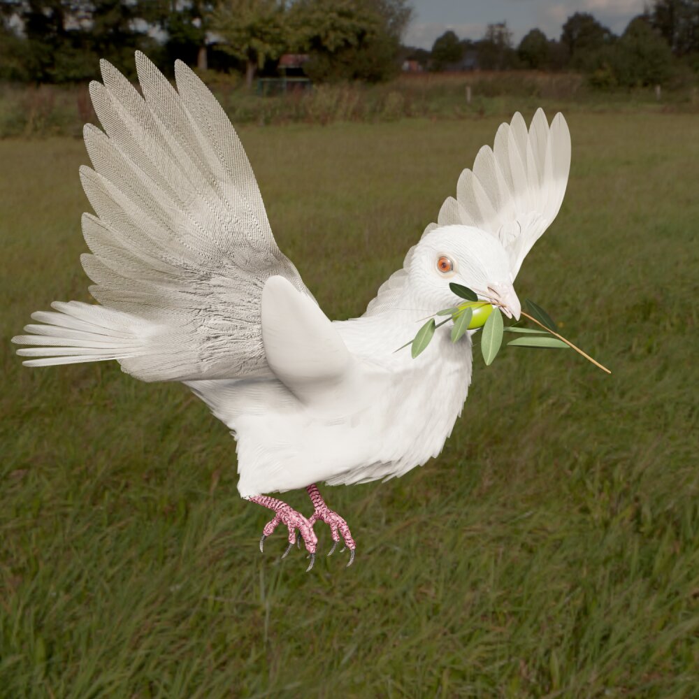 Dove – Blender 3D model - Download Birds on 3DModels.org
