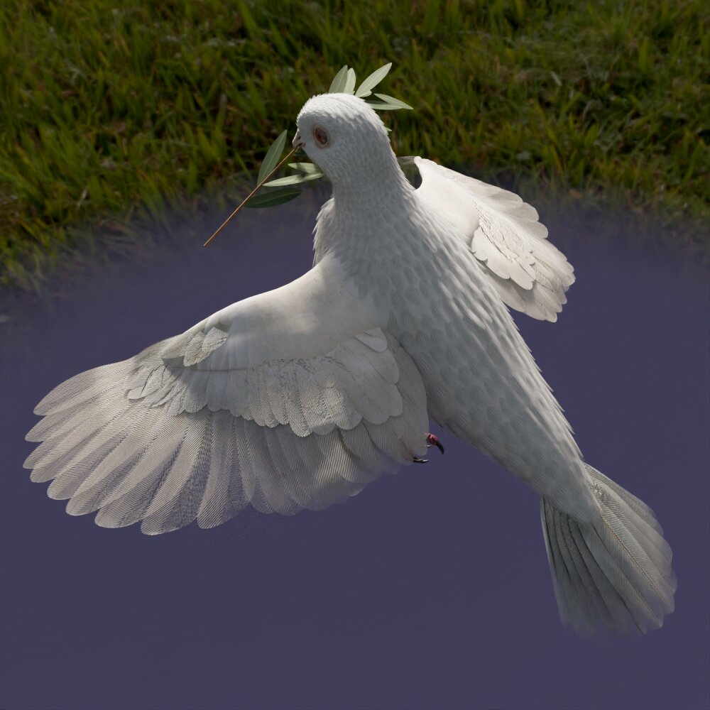 Dove – Blender 3D model - Download Birds on 3DModels.org