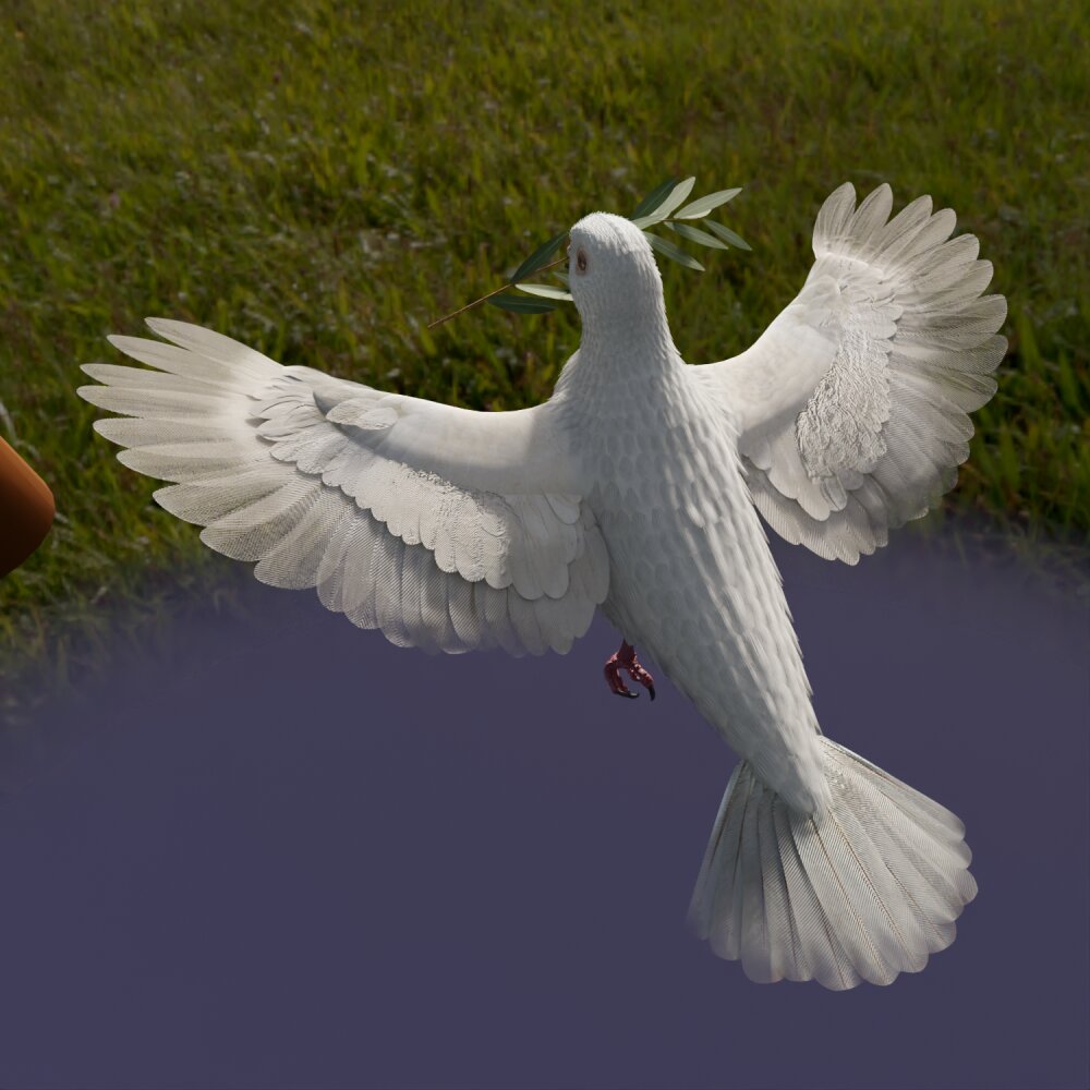 Dove – Blender 3D model - Download Birds on 3DModels.org