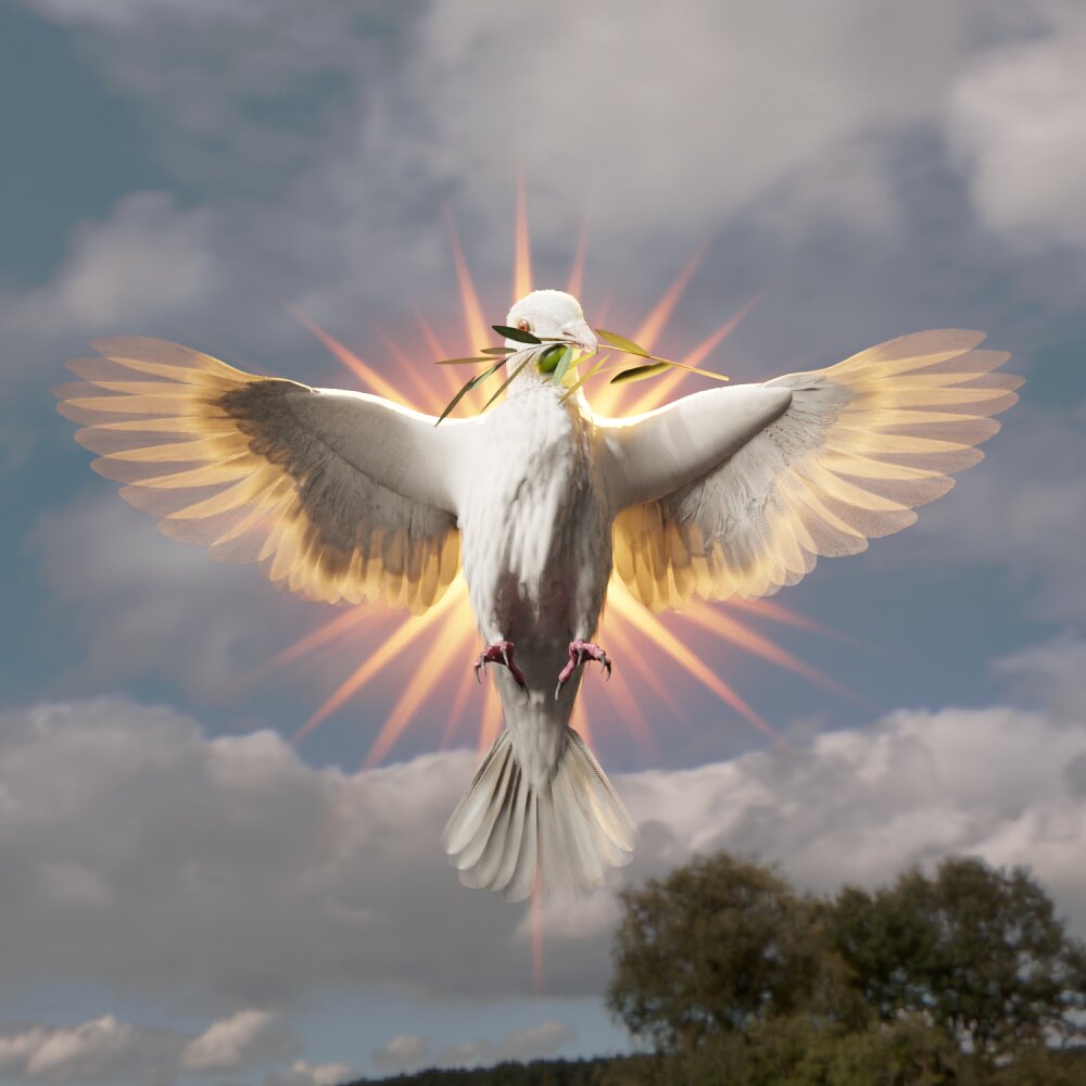 Dove – Blender 3D model - Download Birds on 3DModels.org