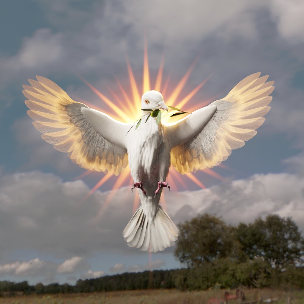 Dove – Blender 3D model - Download Birds on 3DModels.org