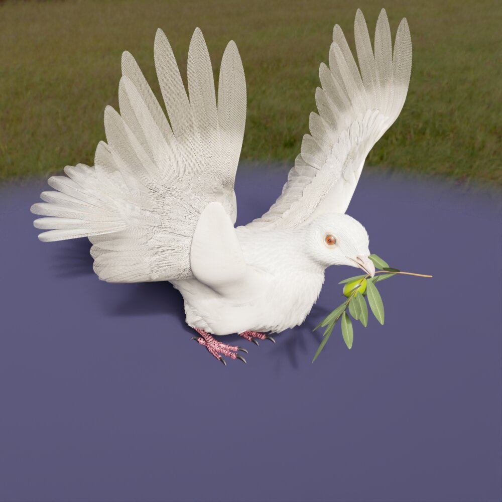 Dove – Blender 3D model - Download Birds on 3DModels.org