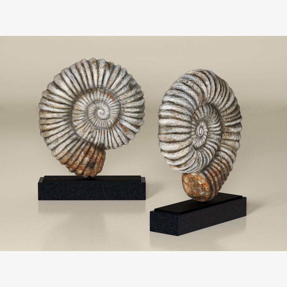 Fossil Iron-Marble Shell Sculpture 01 3D model - Download Sculptures on ...