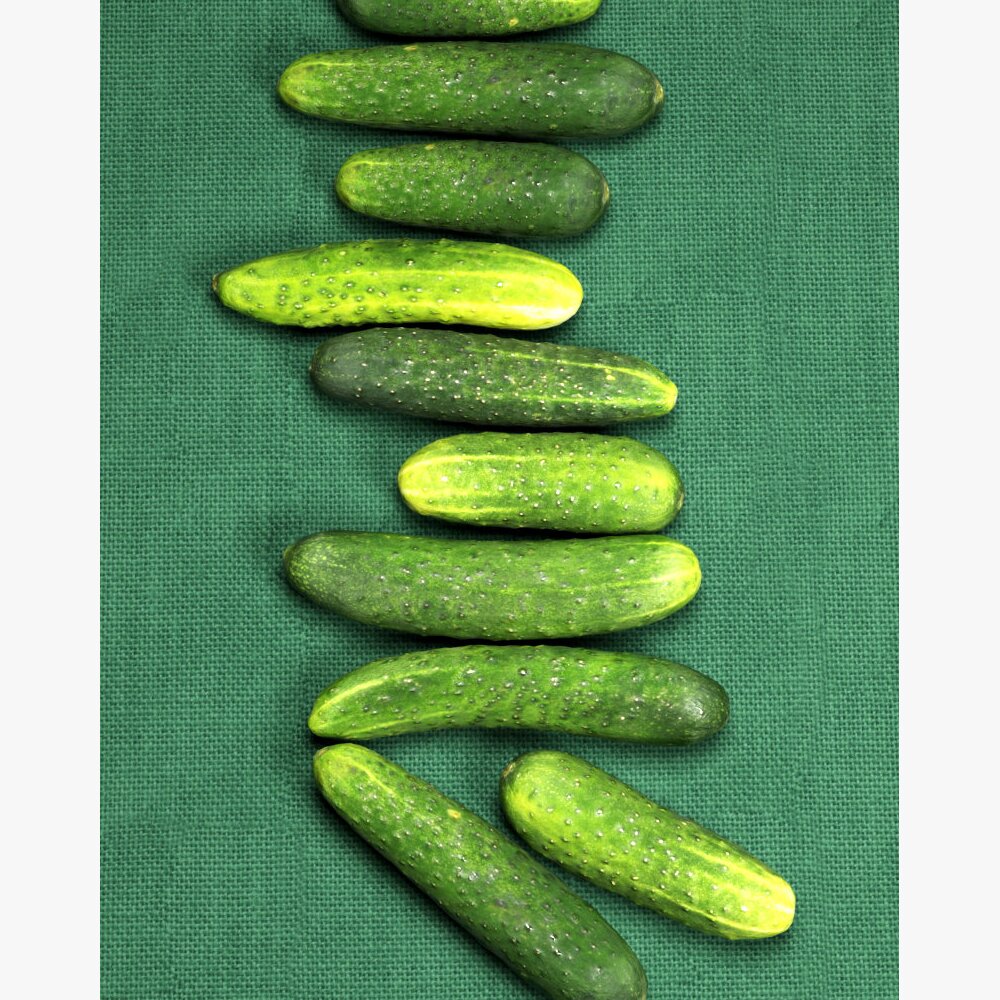 Gherkins 3D model - Download Vegetables on 3DModels.org