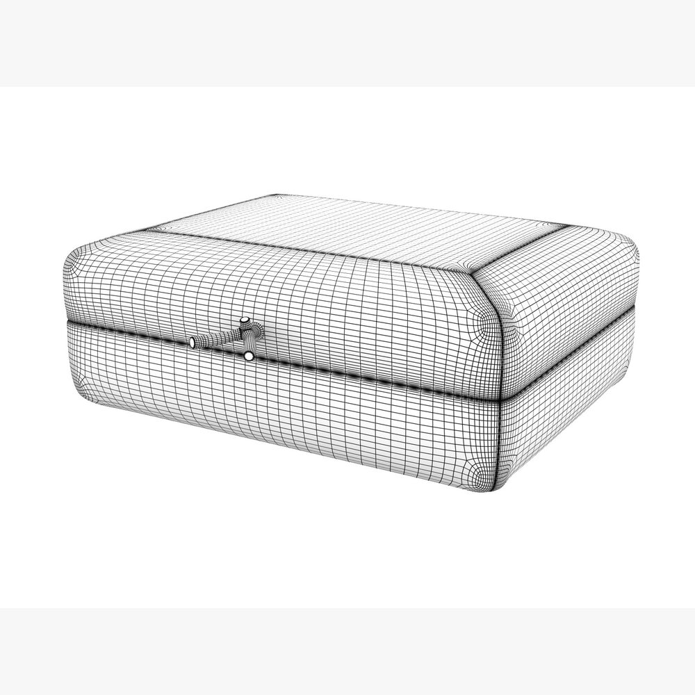 Carbon Rectangular Shagreen Box with Metal Clasp 3D model - Download ...