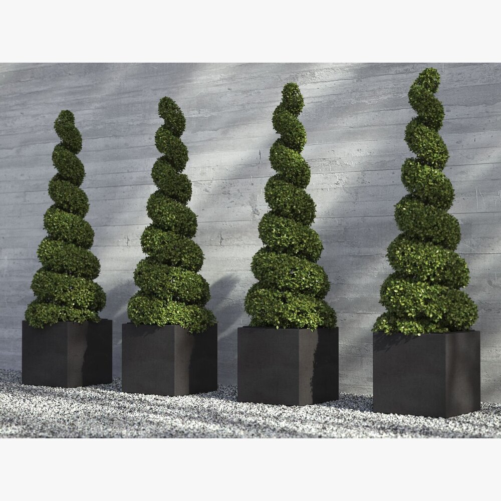 Boj Espiral en Maceta de Hormigón Modelo 3D - Descargar Planta de ...