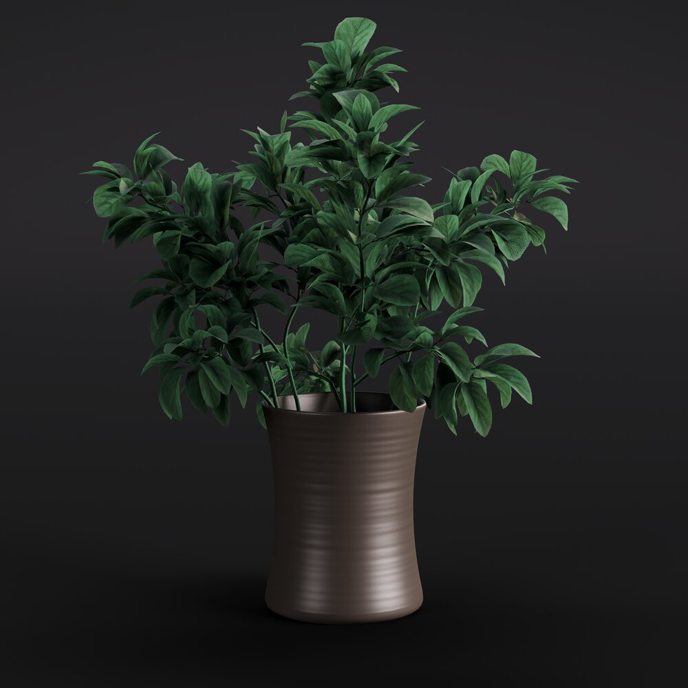 Orelha de Cordeiro em Vaso Modelo 3D - Baixar Planta de casa no ...