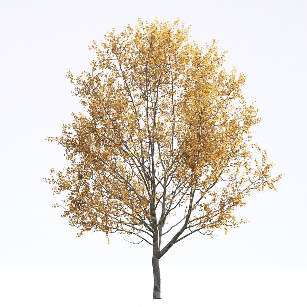Plátano Otoñal con Follaje Amarillo Modelo 3D - Descargar Árboles on ...