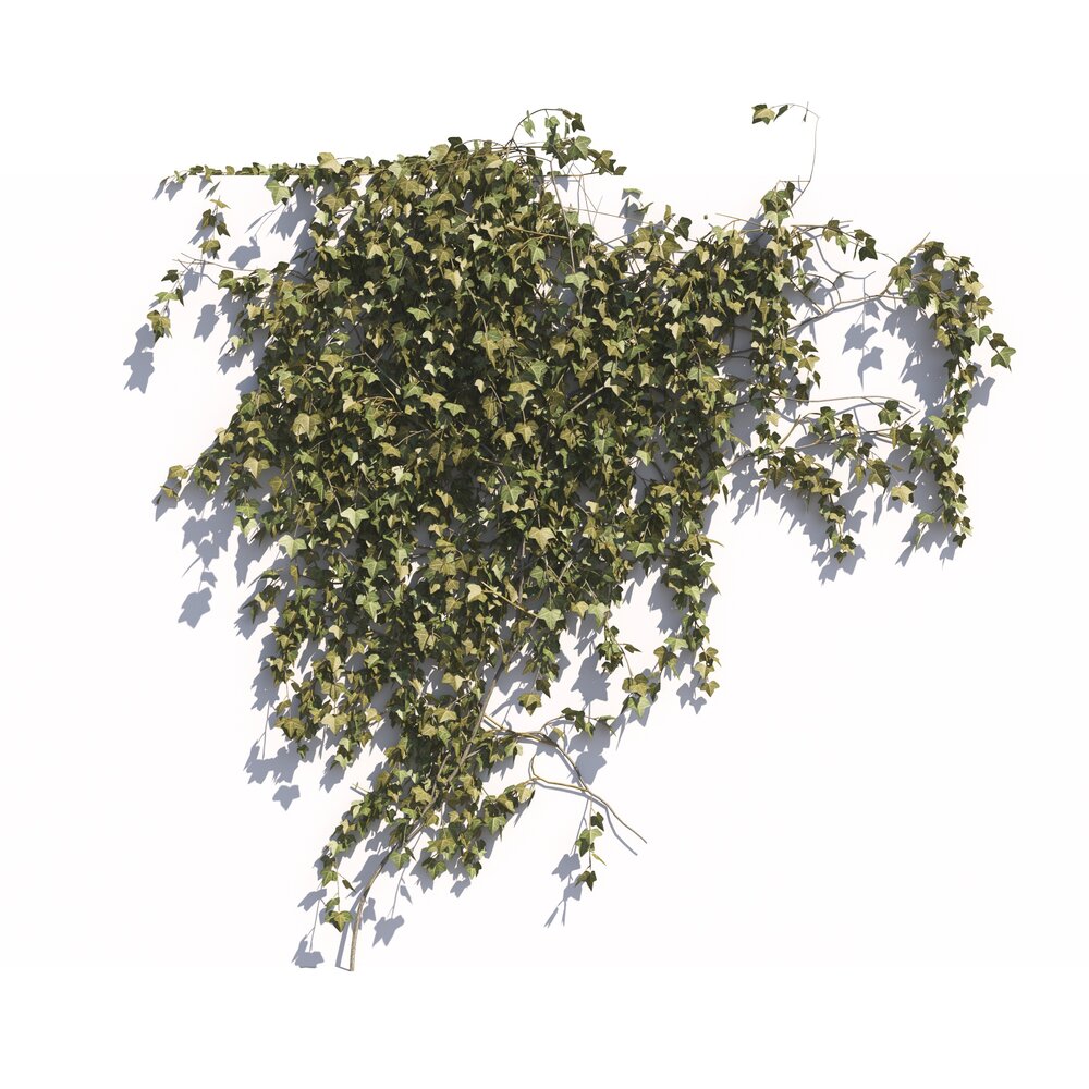 Boston Ivy Climbing Vine Fall Foliage 3D model - Download Grass on ...