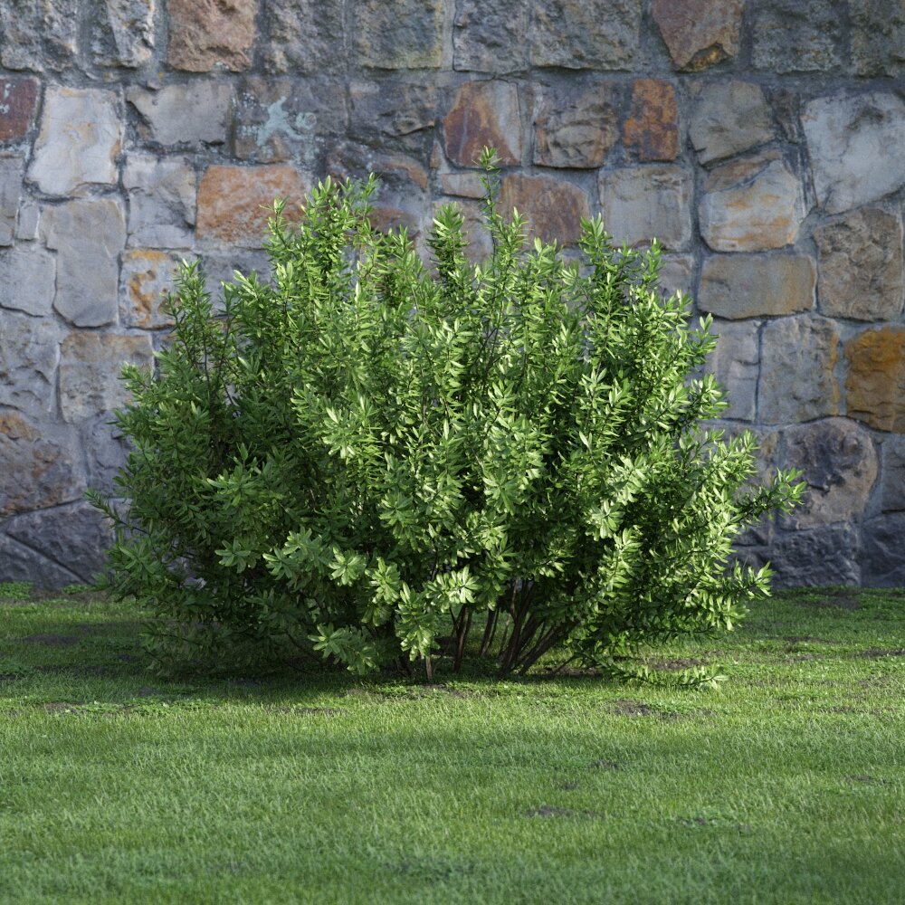 Lush Green Rounded Bush with Dense Foliage 3D model - Download Bushes ...