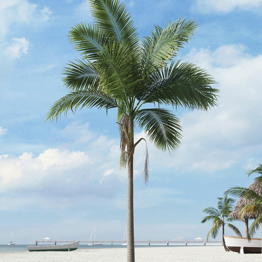 Tall Coconut Palm Tree with Curved Fronds 3D model - Download Trees on ...